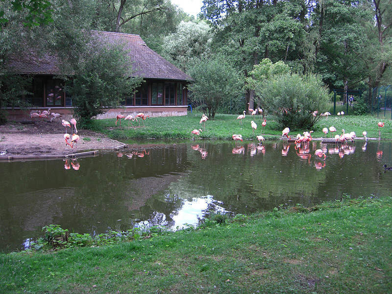 Ausflugstipp: Tiergarten Nürnberg - Auf großen und kleinen Spuren