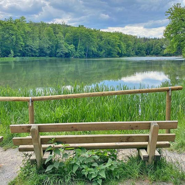Bernhartshöhe Stuttgart Wandern zum Steinbachsee & Katzenbachsee